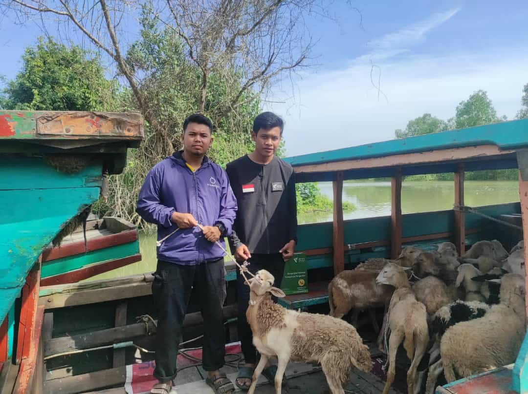 Arungi Sungai Hingga ke Muara, Dompet Dhuafa Distribusikan Hewan Kurban ...