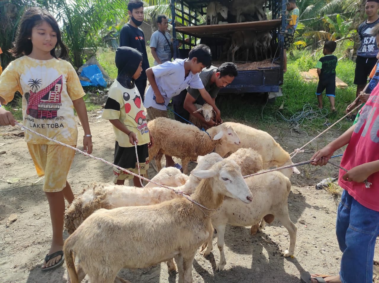 Arungi Sungai Hingga ke Muara, Dompet Dhuafa Distribusikan Hewan Kurban ...