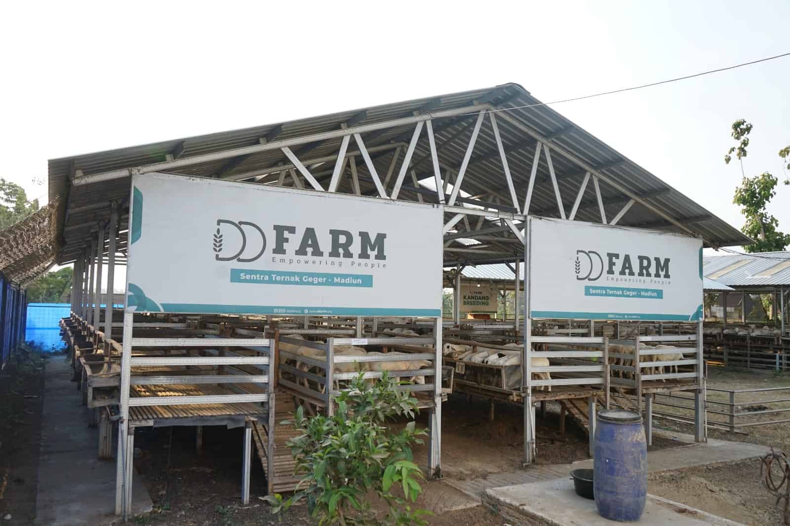 DD Farm Madiun, Ahmad Bercita-cita Punya Kandangnya Sendiri