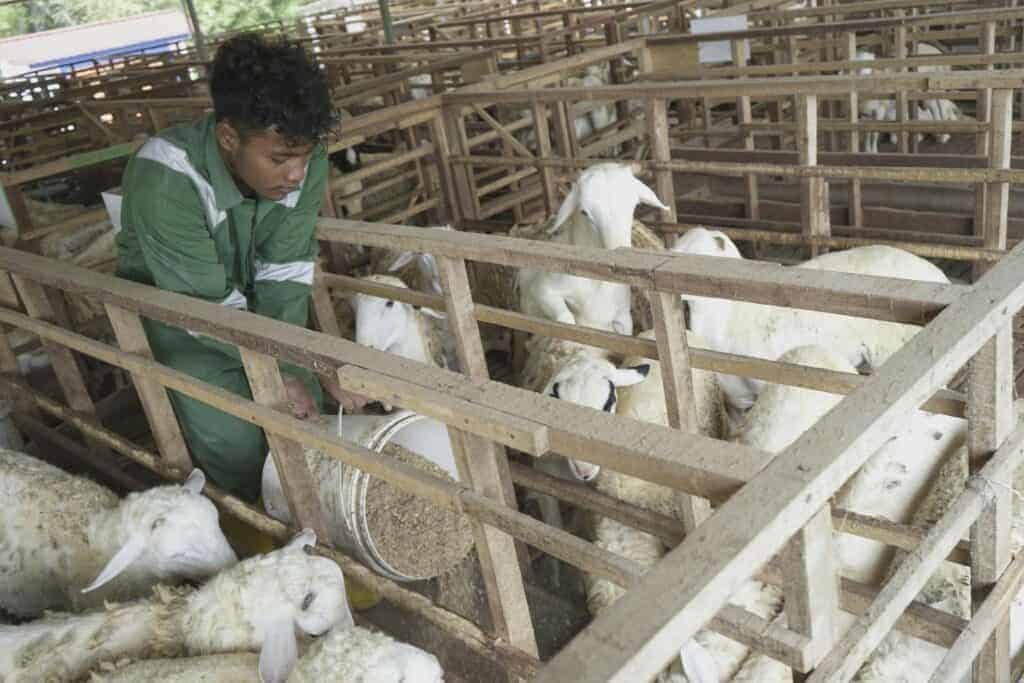 Isnaq Rozaq, Young Farmer with Dreams of Becoming a Musician