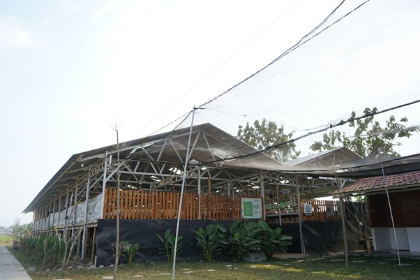 DD Farm Madiun Becomes Knowledge Hub for Local Farmers